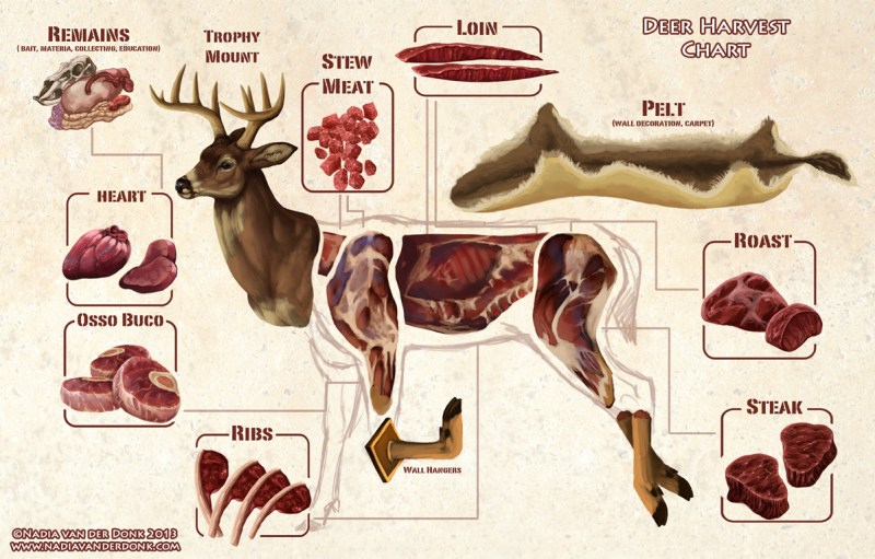 Deer Meat Guide All The Most Common Deer Cuts And Parts Wide Open Spaces deer-meat-guide-all-the-most-common-deer-cuts-and-parts-wide-open-spaces