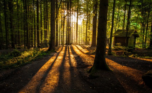 35 Reasons to Get Outdoors on Memorial Day - Wide Open Spaces