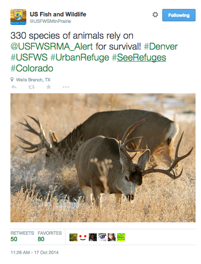 The Top 50 Twitter Accounts for Hunters - Wide Open Spaces