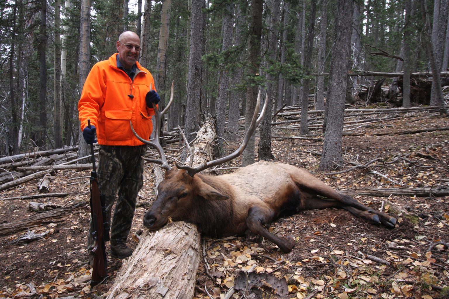 6 Elk Hunting Techniques for Rifle Season That Will Put Meat in Your ...