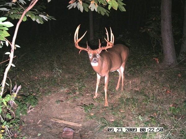 20 Monster Bucks That Will Make You Want to Buy a Trail Cam - Wide Open ...