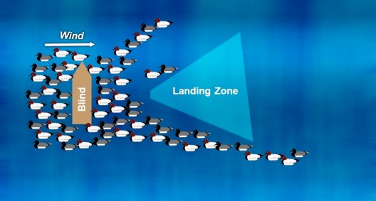 Duck Decoy Spreads: 12 Best Strategies to Lure Them In