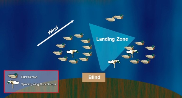 Duck Decoy Spreads: 12 Best Strategies to Lure Them In