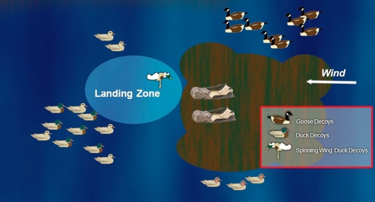 Duck Decoy Spreads: 12 Best Strategies to Lure Them In