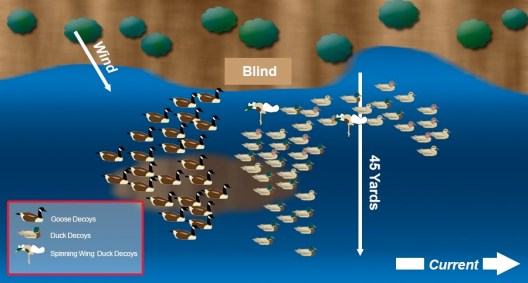 Duck Decoy Spreads: 12 Best Strategies to Lure Them In