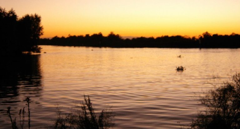 Top 10 Duck Hunting Locations in America - Wide Open Spaces