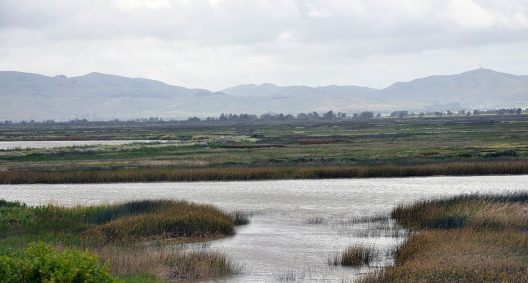 Top 10 Duck Hunting Locations in America - Wide Open Spaces