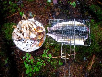 Exclusive Interview: Alaskan Adventurer Bruce "Buck" Nelson Shares His ...