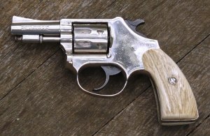 7 Awesome DIY Deer Antler Crafts - Wide Open Spaces