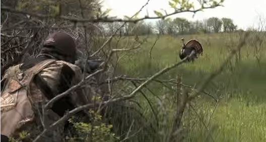 26 Turkey Kill Shots in 2 Minutes Should Be Enough to Get You Pumped ...