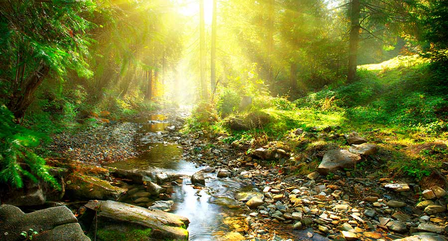 40 Little-Known National Holidays All Outdoorsmen Should Observe - Wide ...