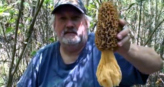 This Georgia Morel Mushroom is Bigger Than Your Head - Wide Open Spaces