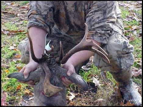 The 10 Freakiest Deer Racks Your Spouse Would Never Let You Hang on the ...