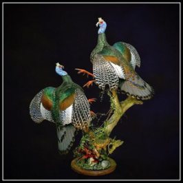 Check Out These 10 Cool Ideas for Turkey Mounts - Wide Open Spaces