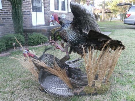 Check Out These 10 Cool Ideas for Turkey Mounts - Wide Open Spaces