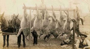30 Historic Hunting Photos That Will Take You Back - Wide Open Spaces