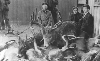 30 Historic Hunting Photos That Will Take You Back - Wide Open Spaces
