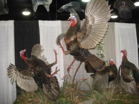Check Out These 10 Cool Ideas for Turkey Mounts - Wide Open Spaces
