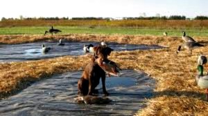 The Perfect DIY Duck Hunting Decoy Pond - Wide Open Spaces