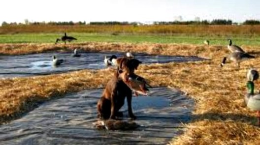 The Perfect DIY Duck Hunting Decoy Pond - Wide Open Spaces