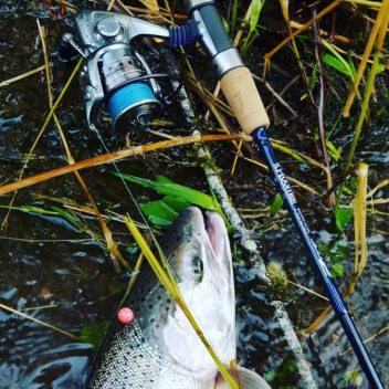 Using Flies and Fly Fishing Techniques With a Spinning Rod and Reel
