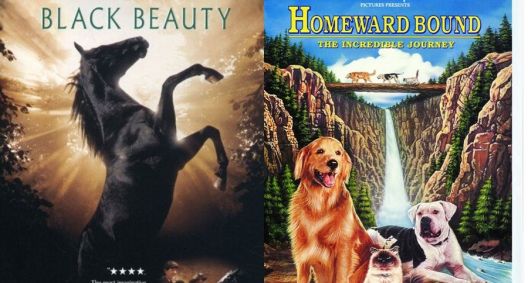 14 of the Best Pet Movies for Your Next Night In
