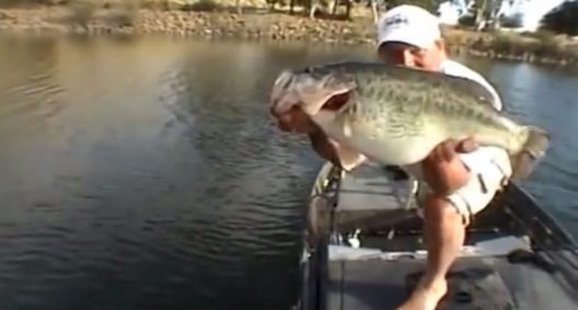 The Truth Behind the World Record Largemouth Bass That Didn't Count ...
