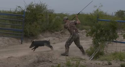 Tim Wells Hunts Hog From Point-Blank With a Spear - Wide Open Spaces