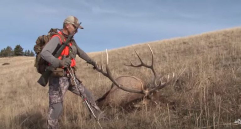 You Need to Watch These 10 Elk Hunting Videos Before the Season Starts ...