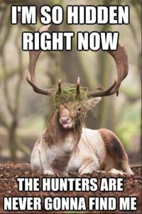 The 10 Best Hunting Memes On the Internet - Wide Open Spaces
