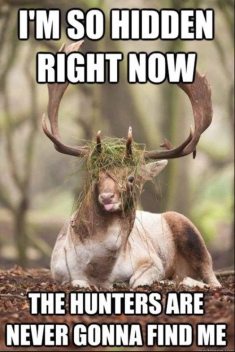 The 10 Best Hunting Memes On the Internet - Wide Open Spaces