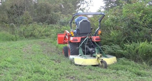 How to Create a Natural Food Plot - Wide Open Spaces