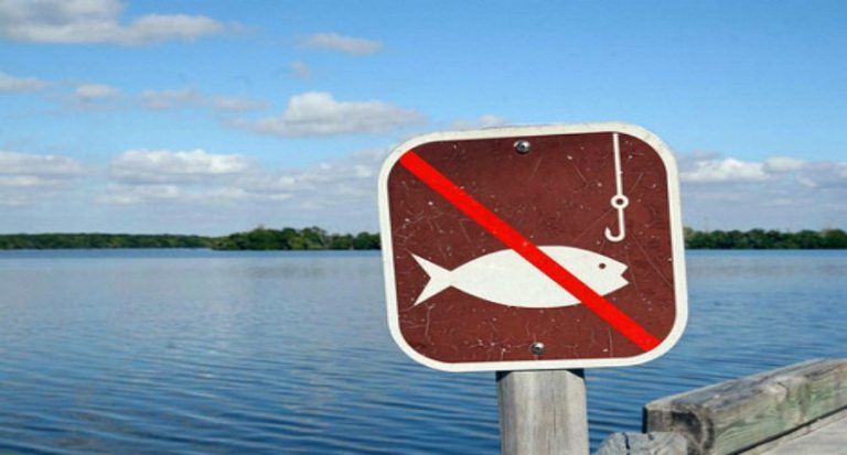 10 Weirdest Fishing Laws You Didn't Know About - Wide Open Spaces