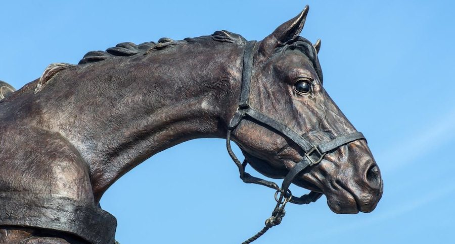 Reckless the War Horse Honored with Bronze Statue at Camp Pendleton