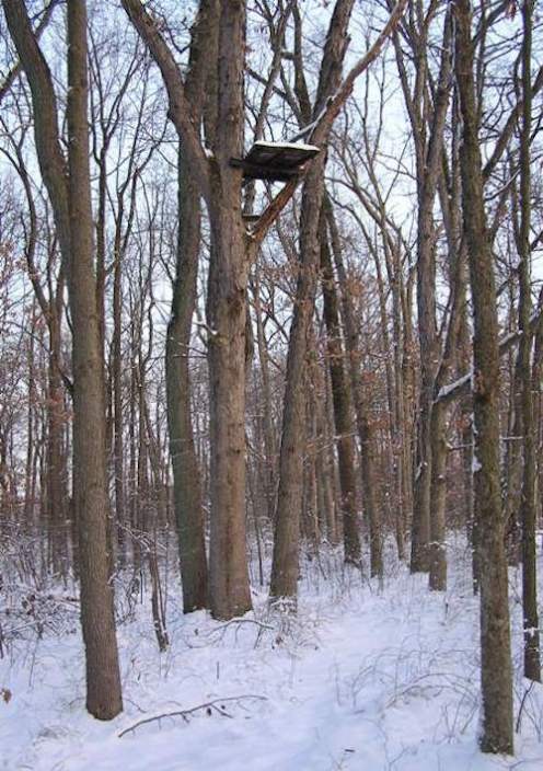 15 Photos That Display the Mystery Behind Old Treestands - Wide Open Spaces