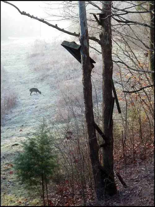 15 Photos That Display the Mystery Behind Old Treestands - Wide Open Spaces
