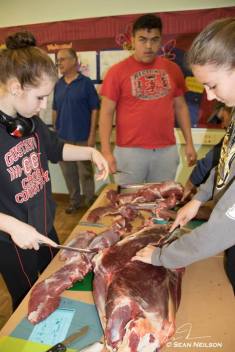 Kindergarteners and Grade Schoolers in Alaska Learn How to Butcher a ...