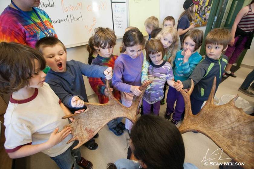 Kindergarteners and Grade Schoolers in Alaska Learn How to Butcher a ...