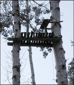 15 Photos That Display the Mystery Behind Old Treestands - Wide Open Spaces