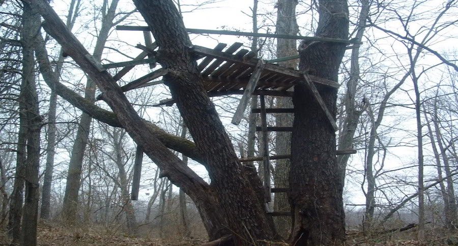 15 Photos That Display the Mystery Behind Old Treestands - Wide Open Spaces