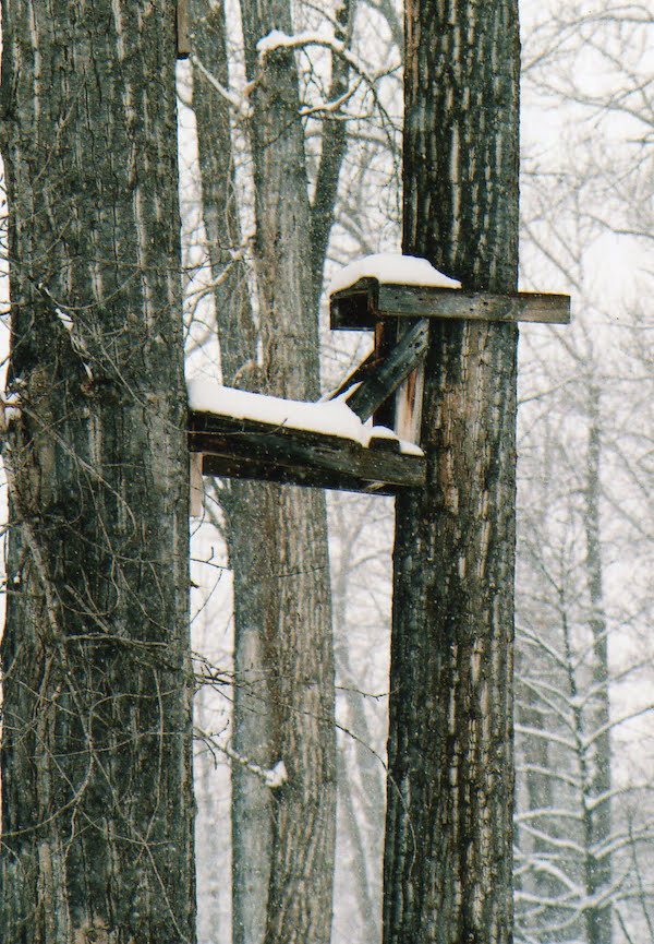 15 Photos That Display the Mystery Behind Old Treestands - Wide Open Spaces