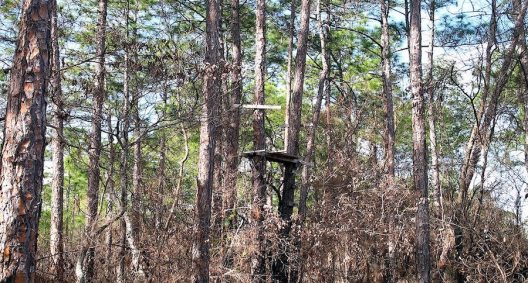 15 Photos That Display the Mystery Behind Old Treestands - Wide Open Spaces
