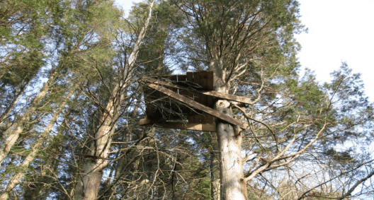 15 Photos That Display the Mystery Behind Old Treestands - Wide Open Spaces