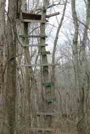 15 Photos That Display the Mystery Behind Old Treestands - Wide Open Spaces