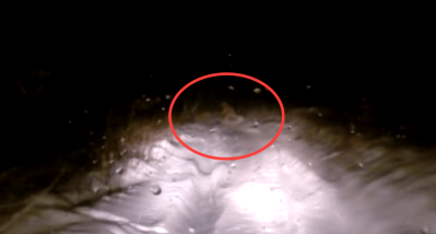 Camera Footage Stirs Up Russian Yeti Theories - Wide Open Spaces
