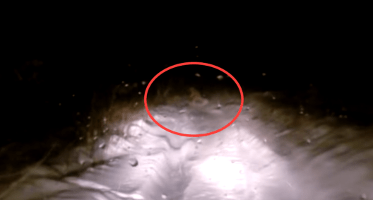 Camera Footage Stirs Up Russian Yeti Theories - Wide Open Spaces