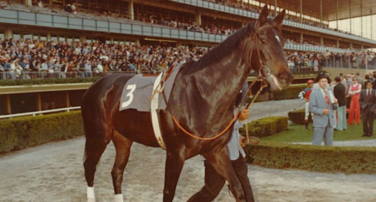 Ruffian's Tragedy: The Story Behind Arguably Horse Racing's Greatest