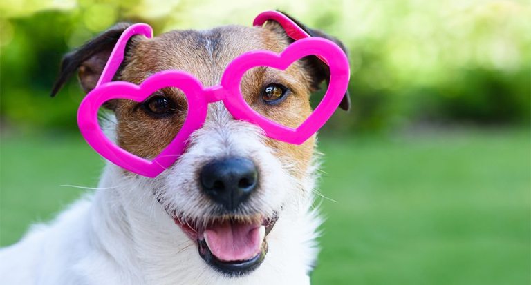 12 Amazing Horse-Themed Cakes Fit for a True Country Affair