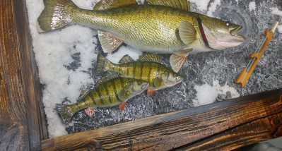 This Ice Fishing-Themed Taxidermy Table is Insanely Awesome