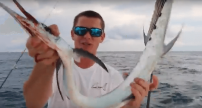 This Houndfish's Bark is Worse Than its Bite (but Just Barely)